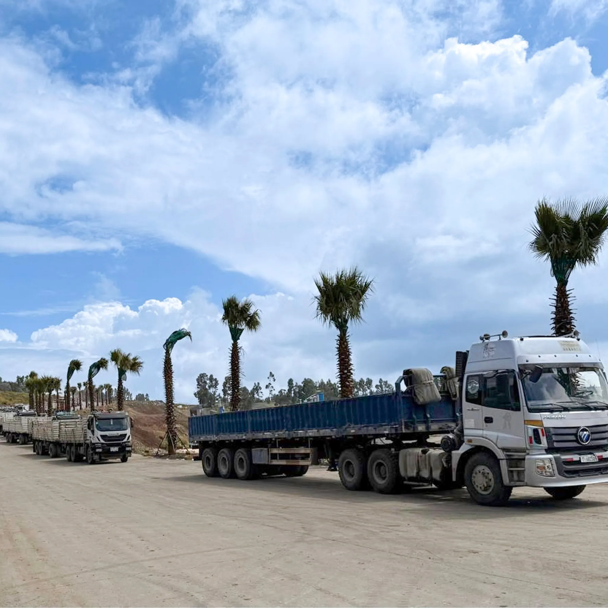 From ETB 2,900 to 1,500: How Lemi National Cement is Transforming ...