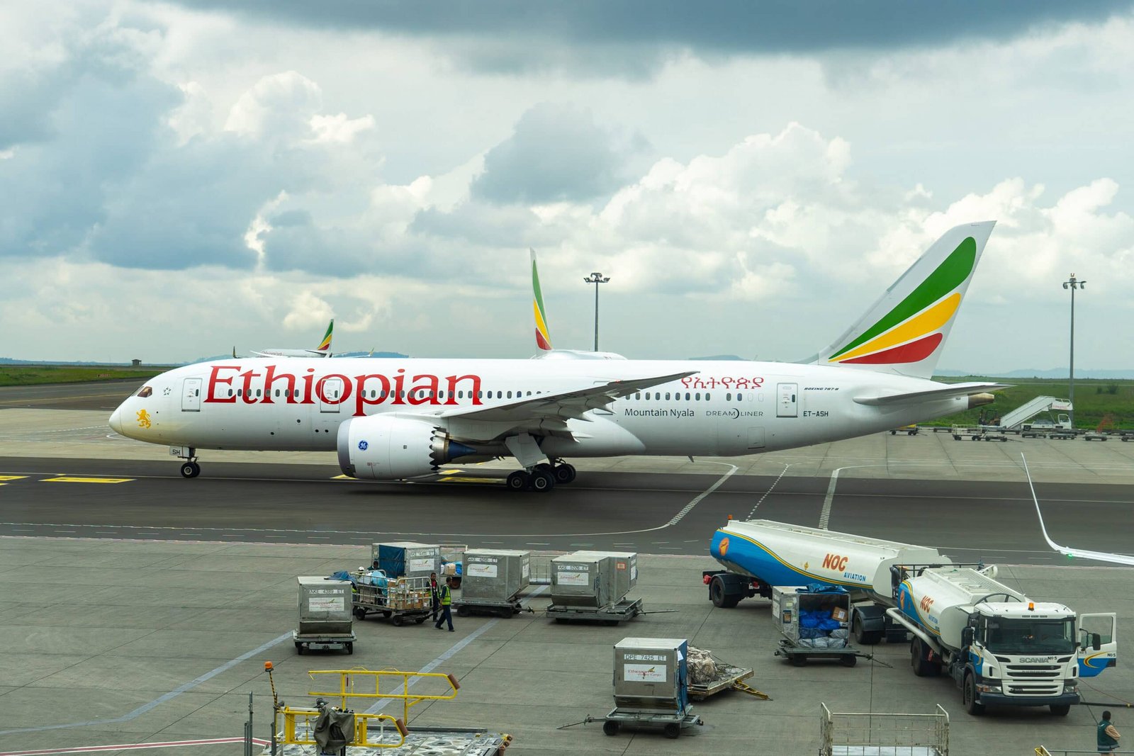 Home - Addis Insight